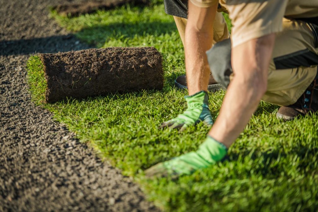 5 conseils pour choisir son paysagiste - 1000 Décos